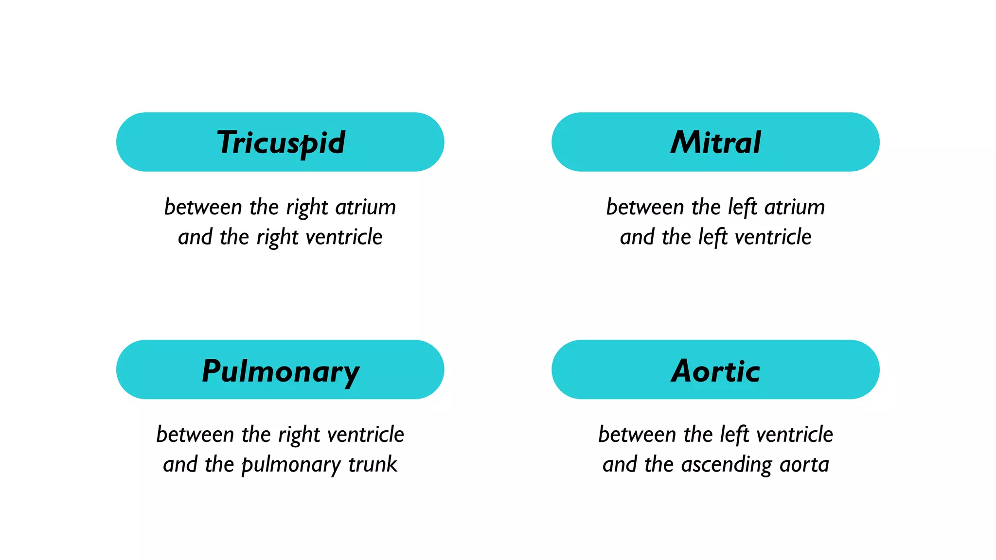 The anatomy of the cardiac valves and their abnormalities | PPTX