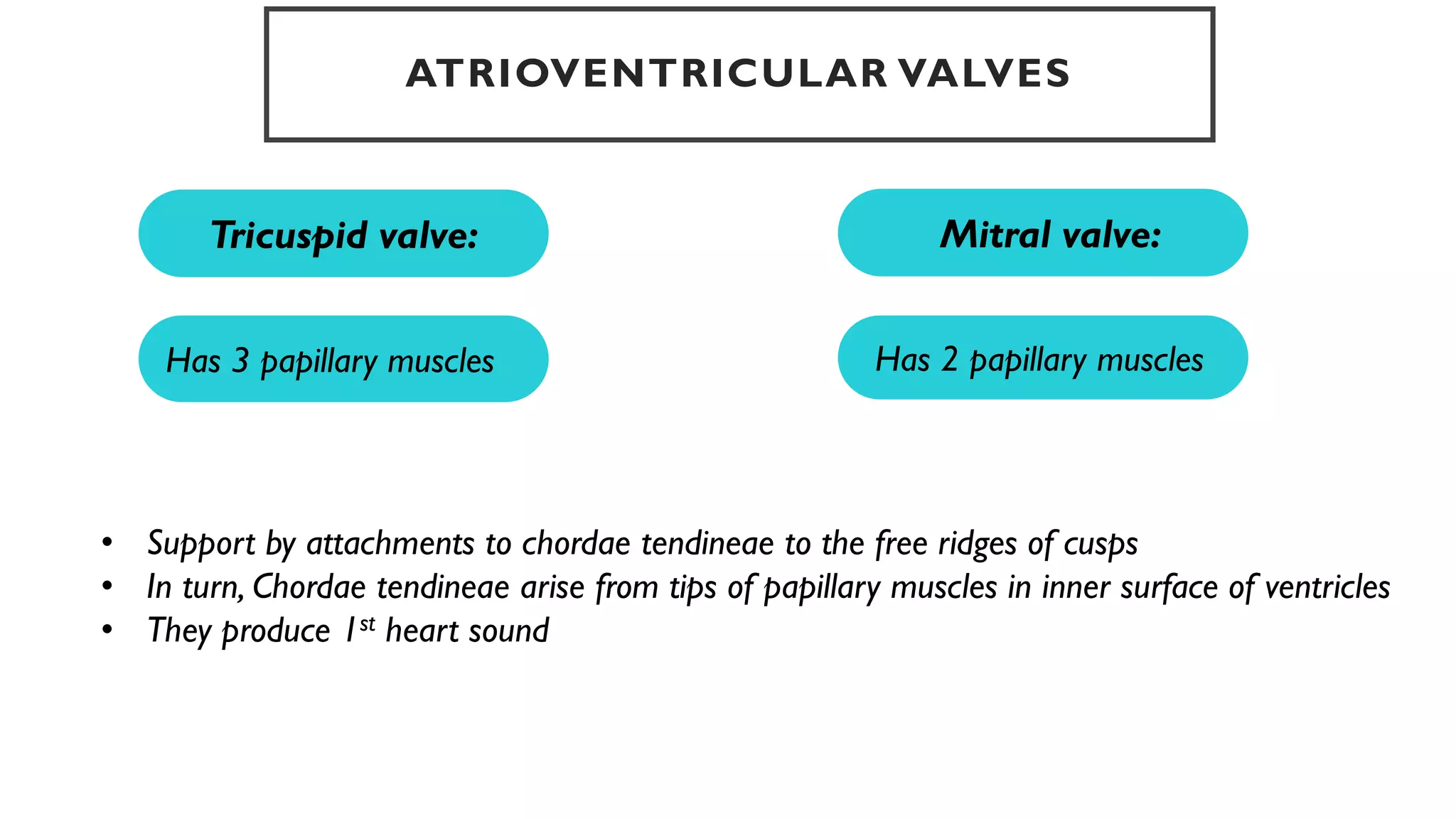 The anatomy of the cardiac valves and their abnormalities | PPTX