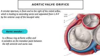 The anatomy of the cardiac valves and their abnormalities | PPTX