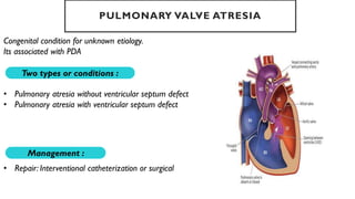 The anatomy of the cardiac valves and their abnormalities | PPT