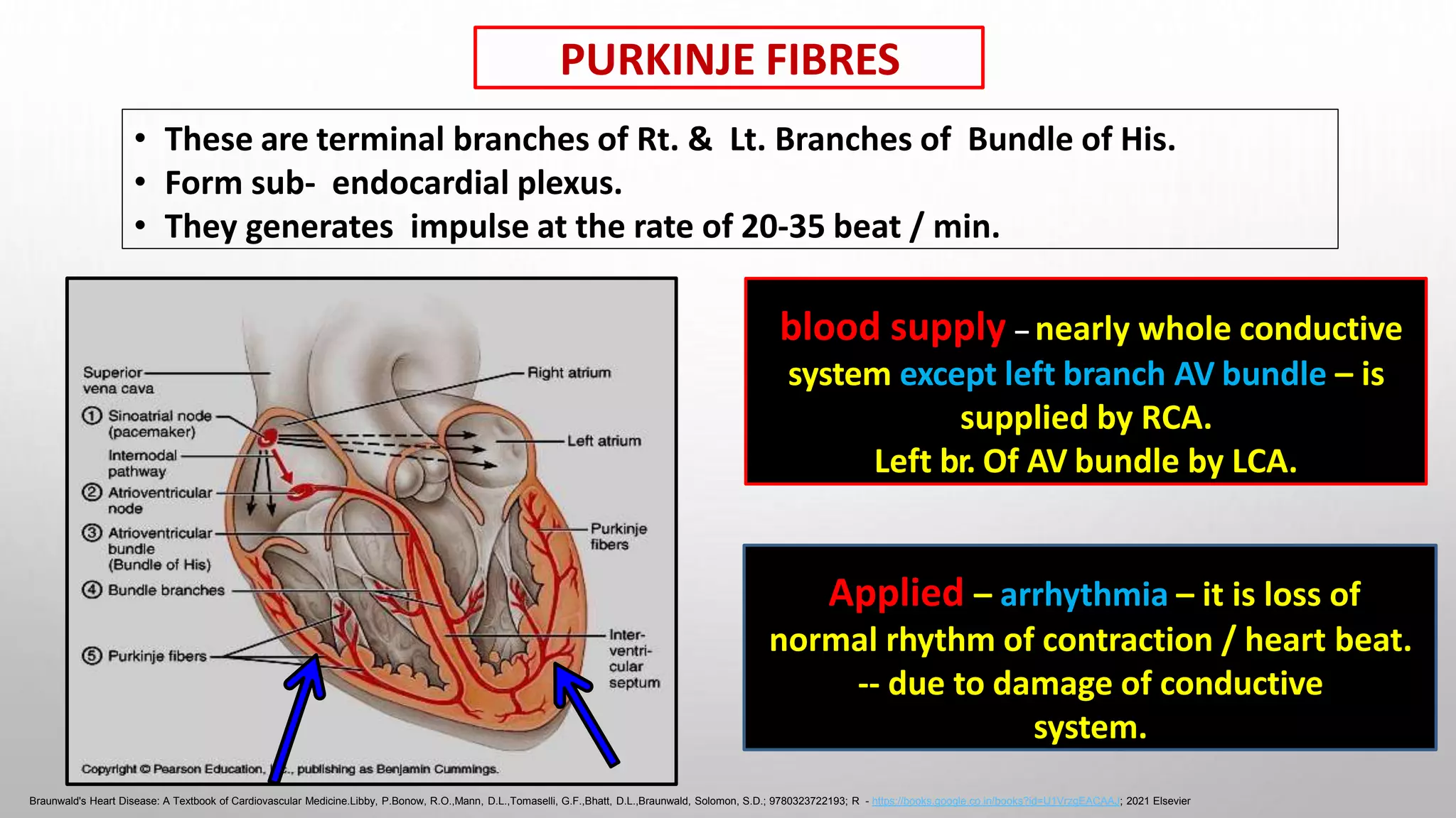 Cardiac valves and skeleton & With applied aspects -final 1.pptx