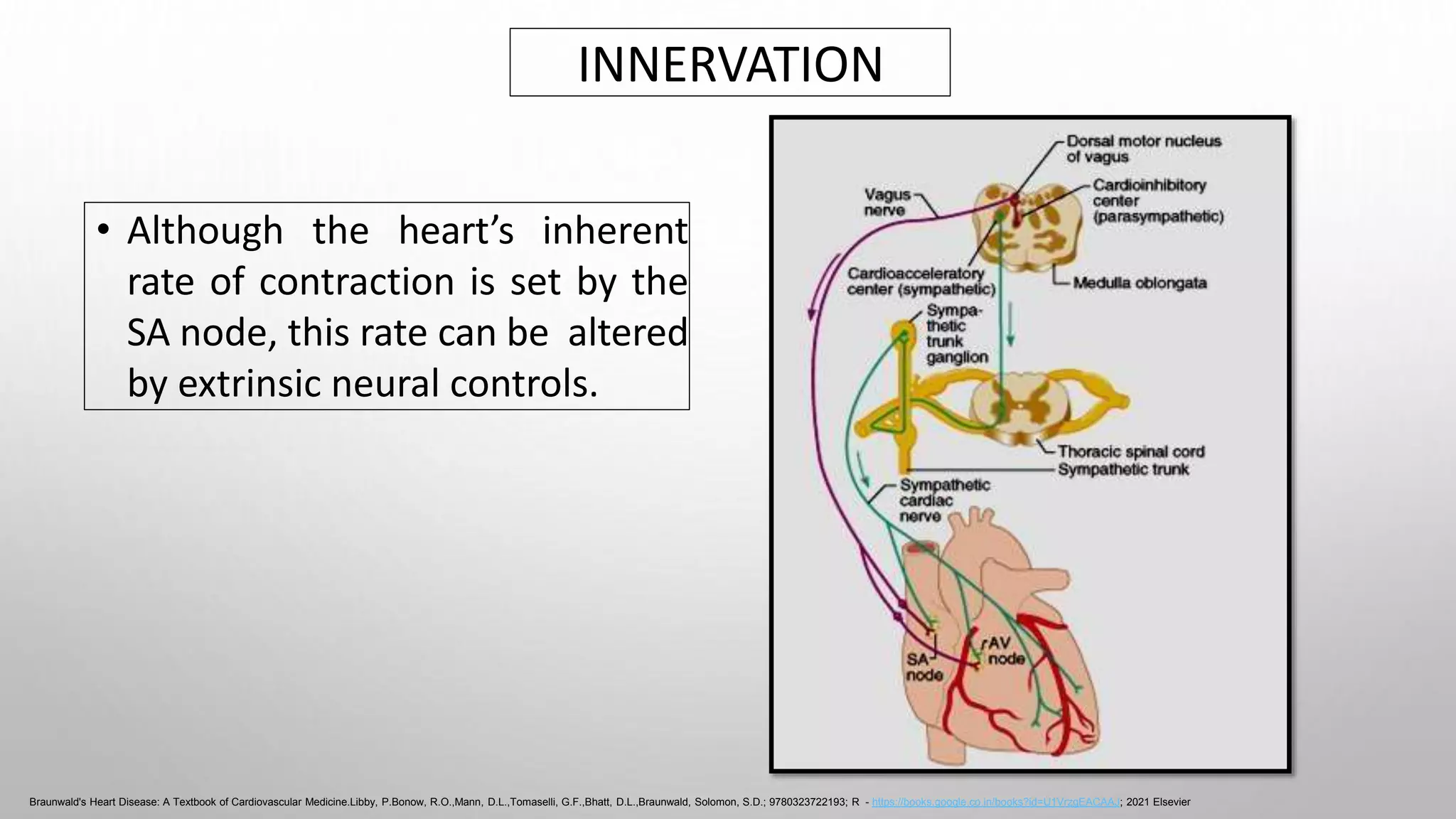Cardiac valves and skeleton & With applied aspects -final 1.pptx