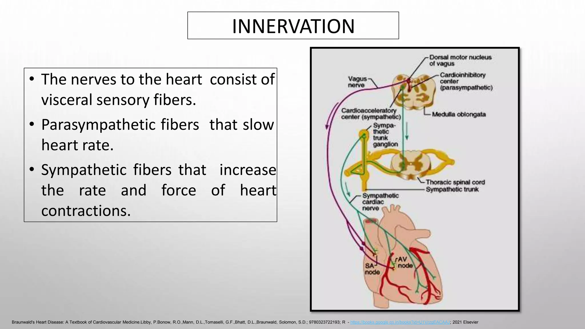 Cardiac valves and skeleton & With applied aspects -final 1.pptx