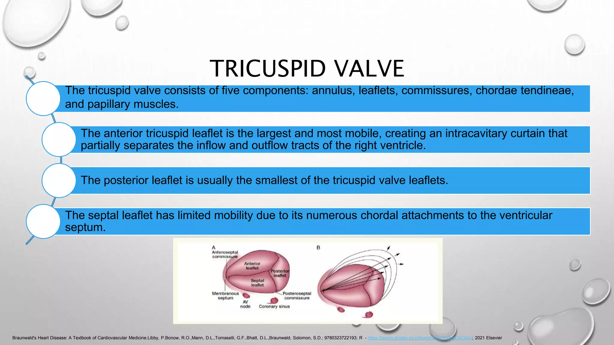 Cardiac valves and skeleton & With applied aspects -final 1.pptx