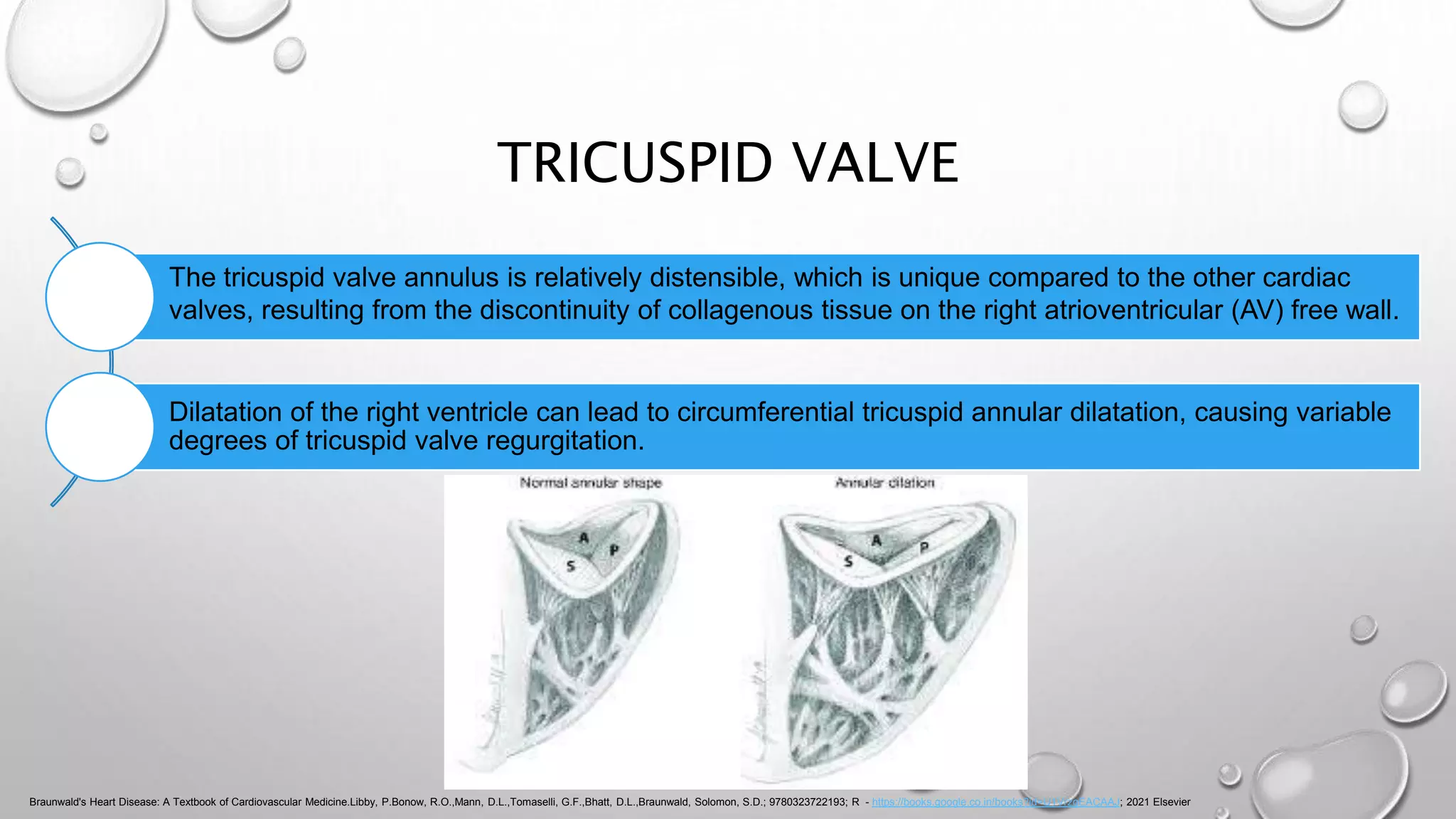 Cardiac valves and skeleton & With applied aspects -final 1.pptx