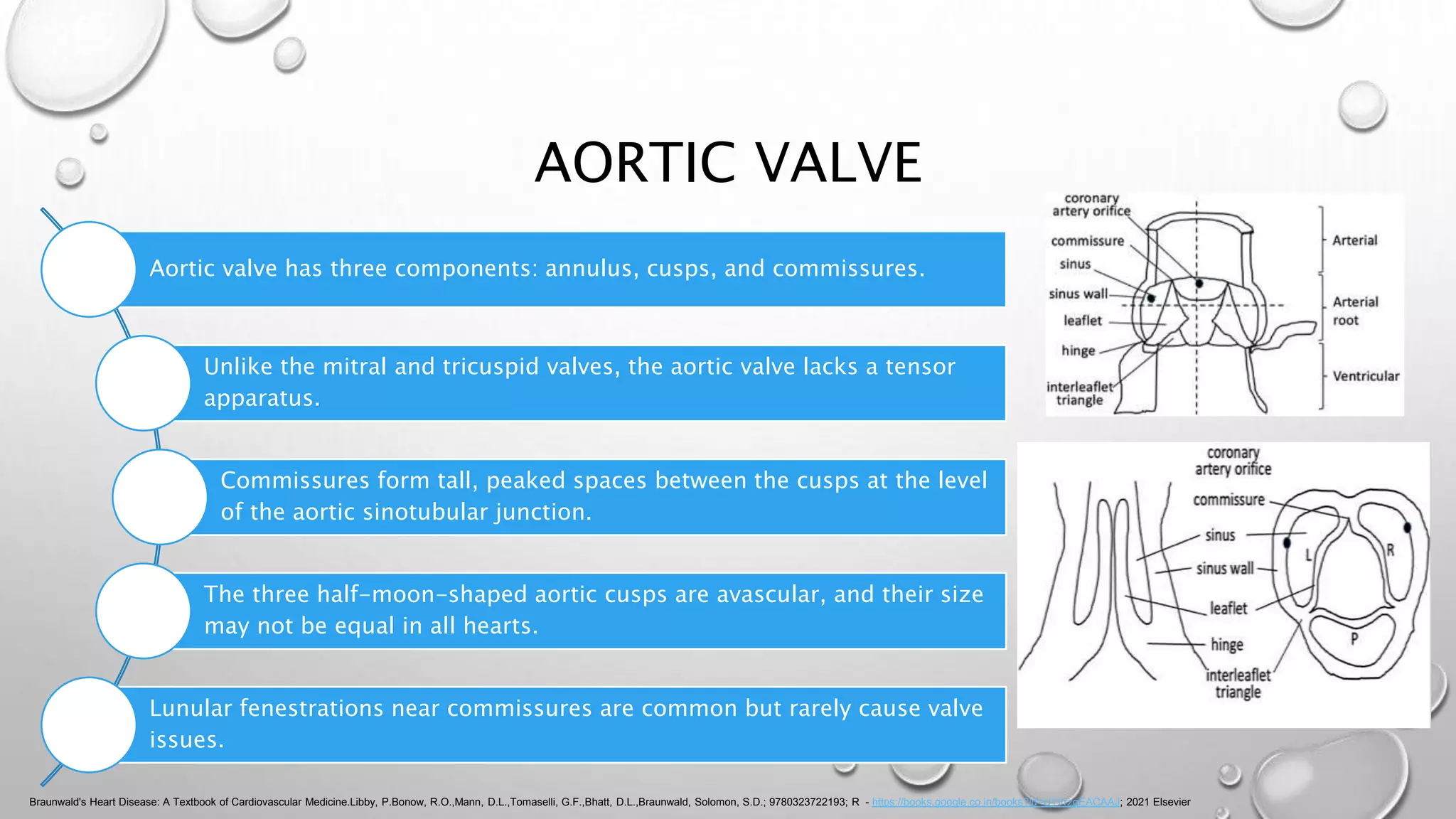Cardiac valves and skeleton & With applied aspects -final 1.pptx