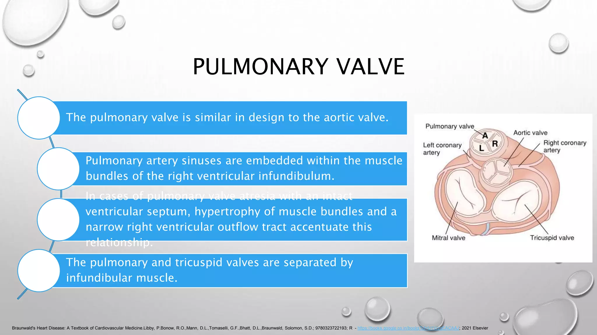 Cardiac valves and skeleton & With applied aspects -final 1.pptx