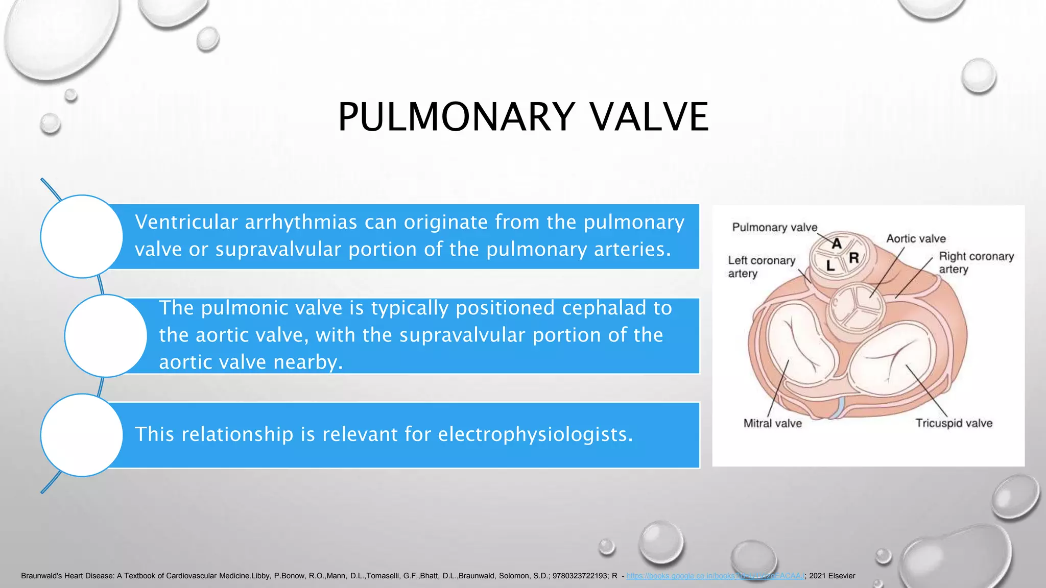Cardiac valves and skeleton & With applied aspects -final 1.pptx