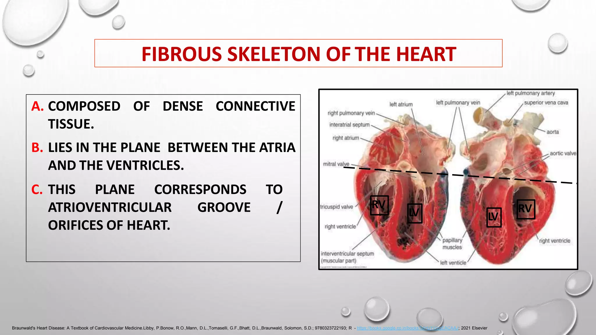 Cardiac valves and skeleton & With applied aspects -final 1.pptx
