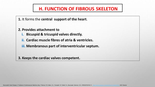 Cardiac valves and skeleton & With applied aspects -final 1.pptx