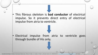 Cardiac valves and skeleton & With applied aspects -final 1.pptx