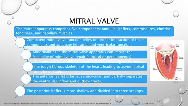 Cardiac valves and skeleton & With applied aspects -final 1.pptx