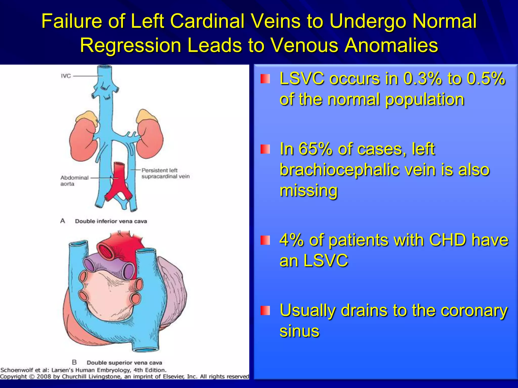 Cardiac venous system | PPTX