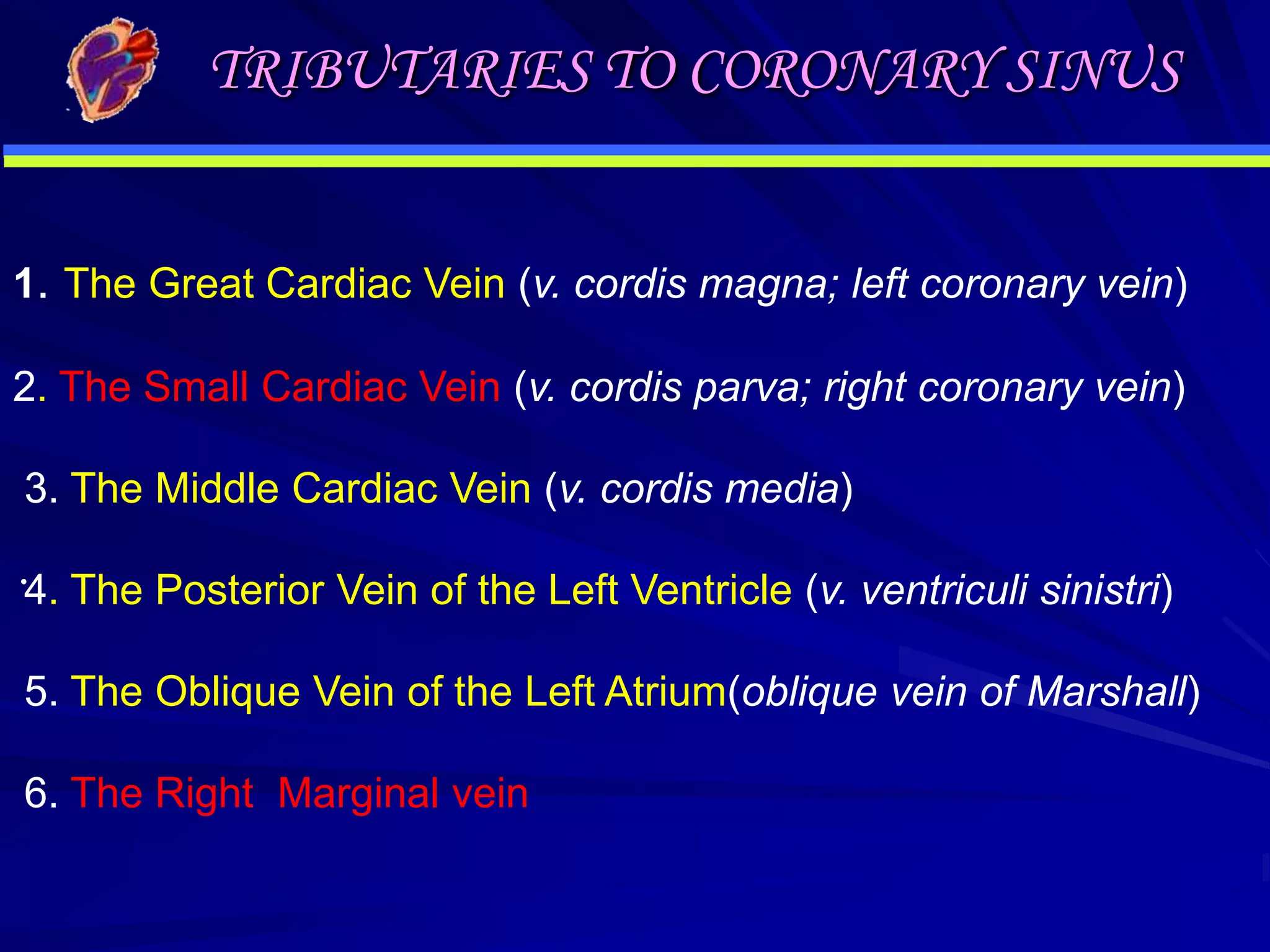 Cardiac venous system | PPTX