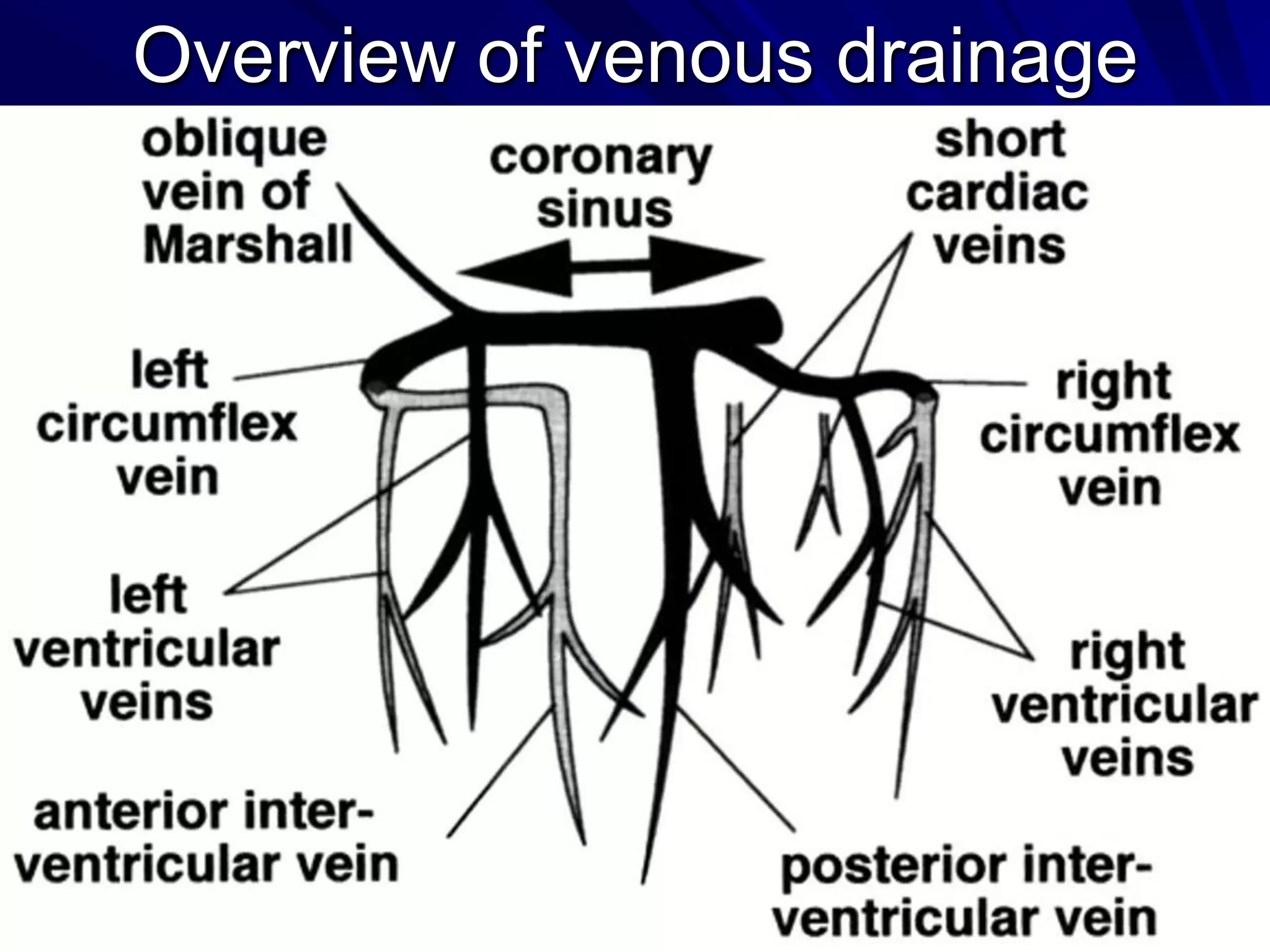 Cardiac venous system | PPT