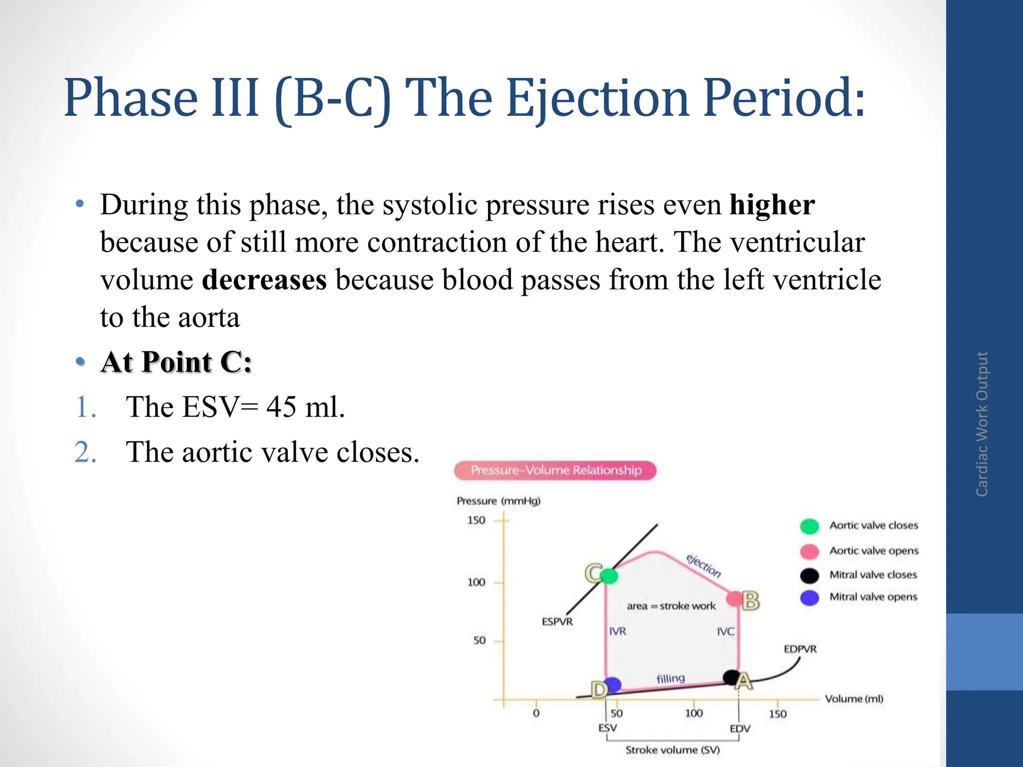 Cardiac Work Output by Rana Tarek TA.pptx | Heart and Cardiovascular ...