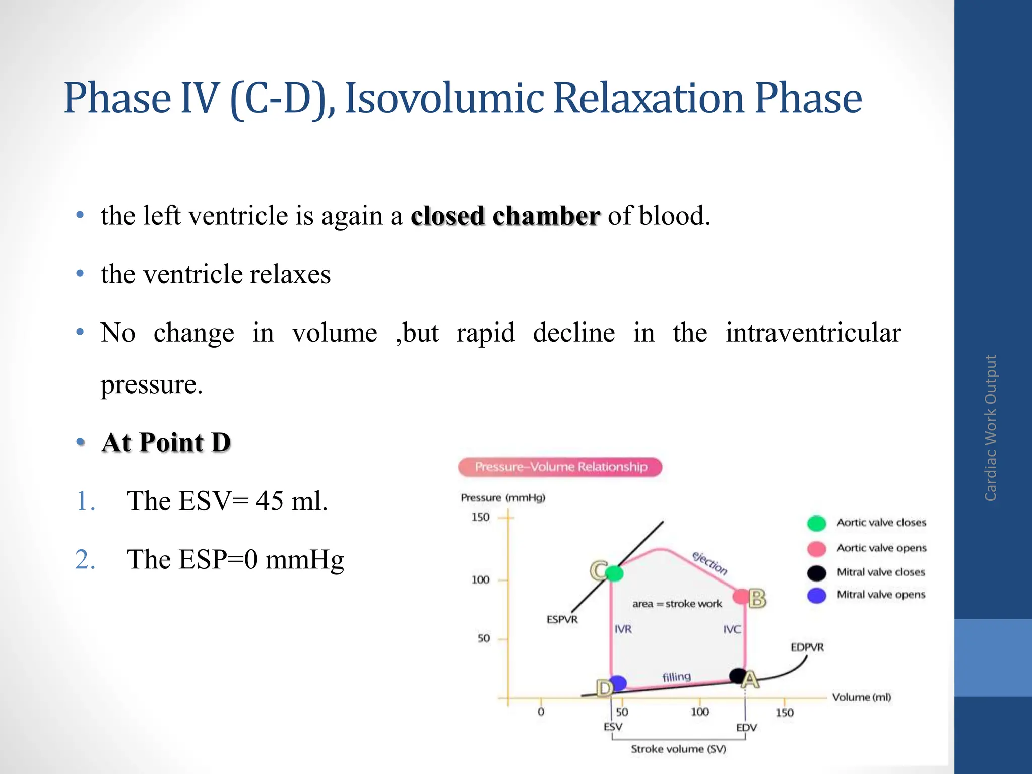 Cardiac Work Output by Rana Tarek TA.pptx | Heart and Cardiovascular ...