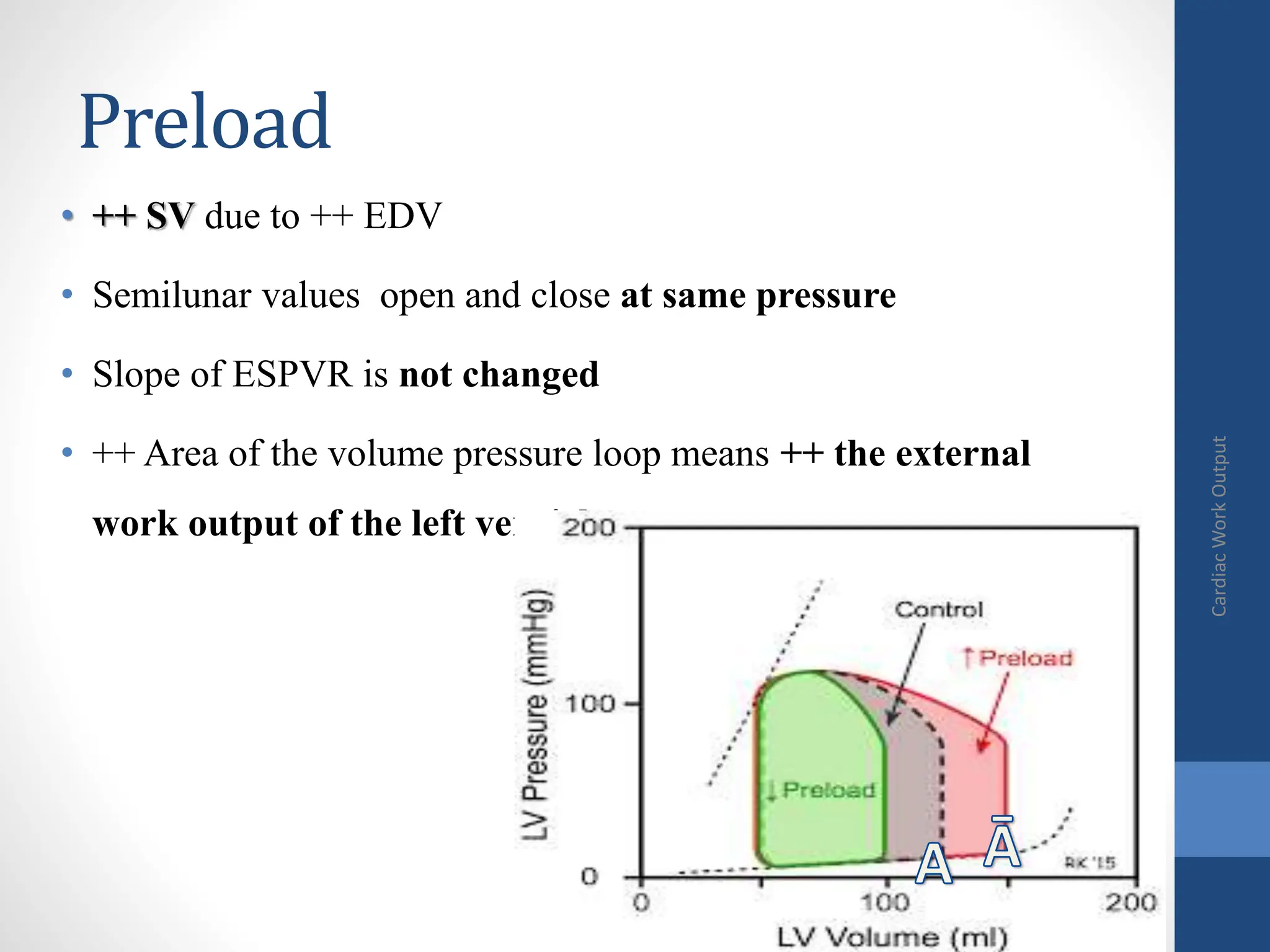 Cardiac Work Output by Rana Tarek TA.pptx | Heart and Cardiovascular ...