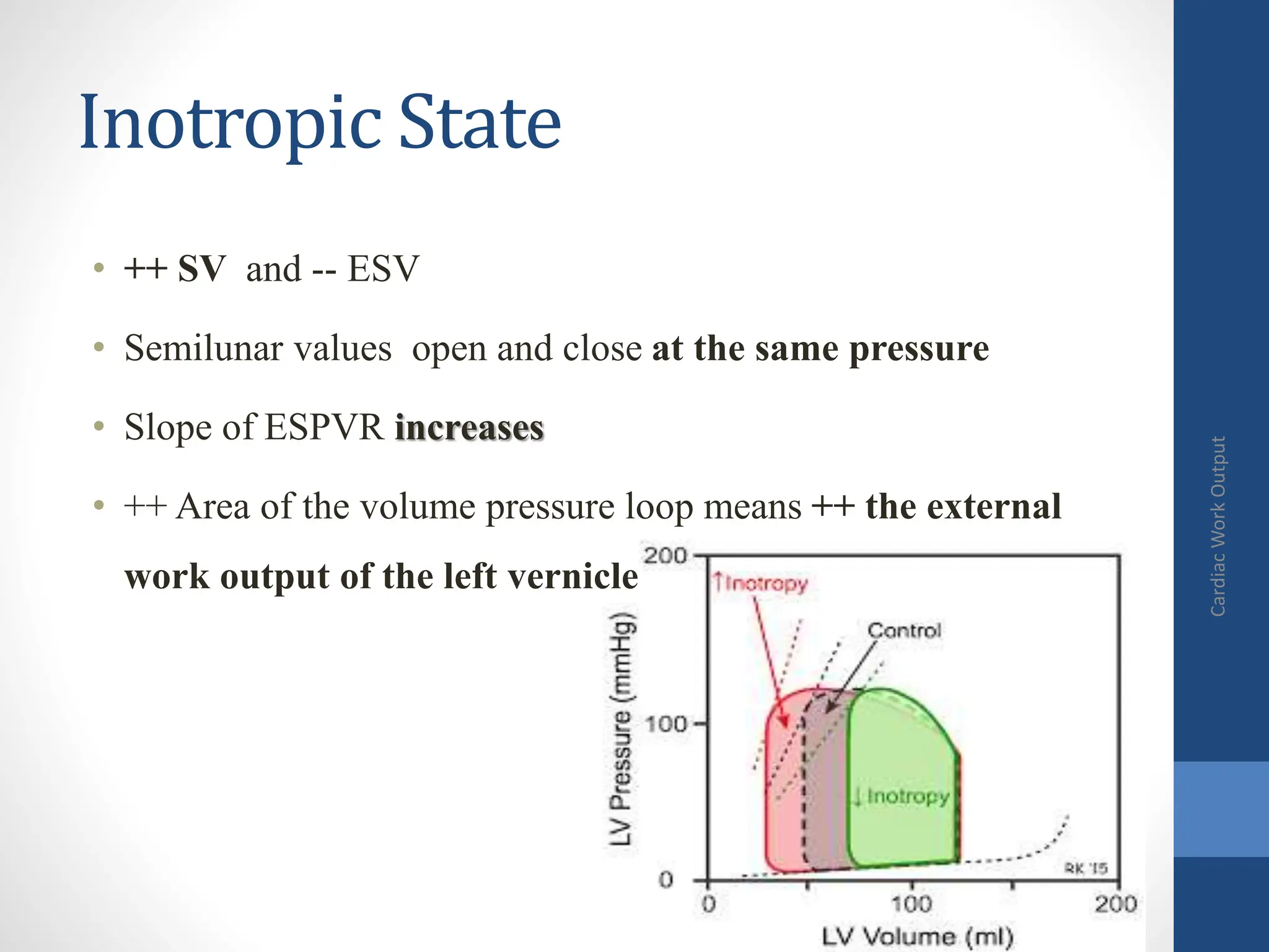 Cardiac Work Output by Rana Tarek TA.pptx