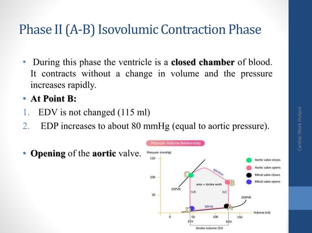 Cardiac Work Output by Rana Tarek TA.pptx