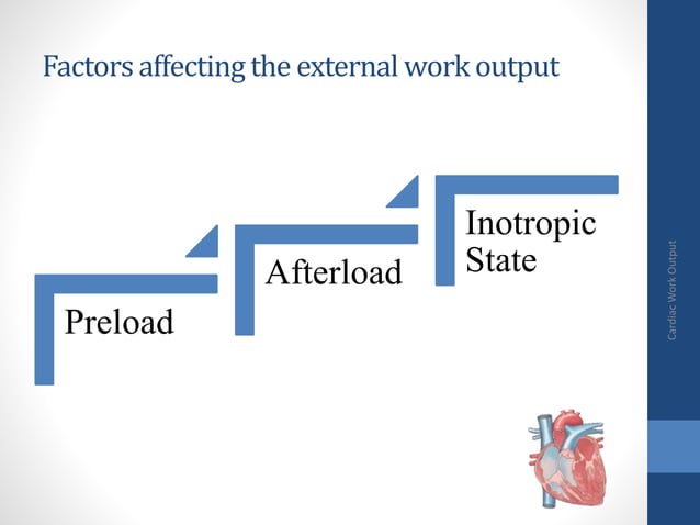 Cardiac Work Output by Rana Tarek TA.pptx