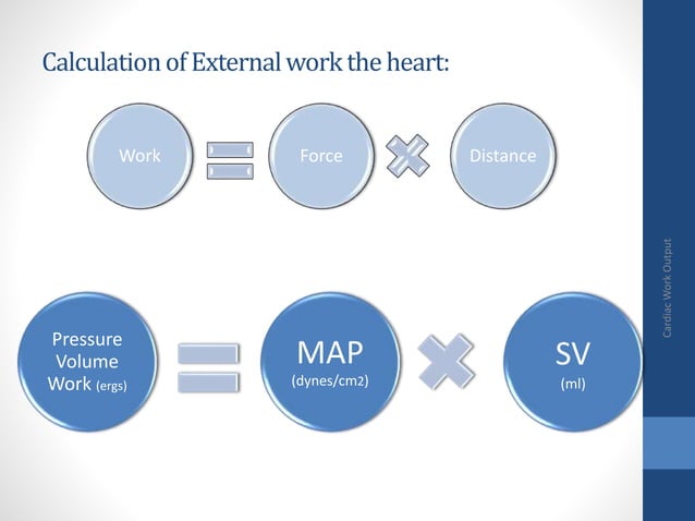 Cardiac Work Output by Rana Tarek TA.pptx