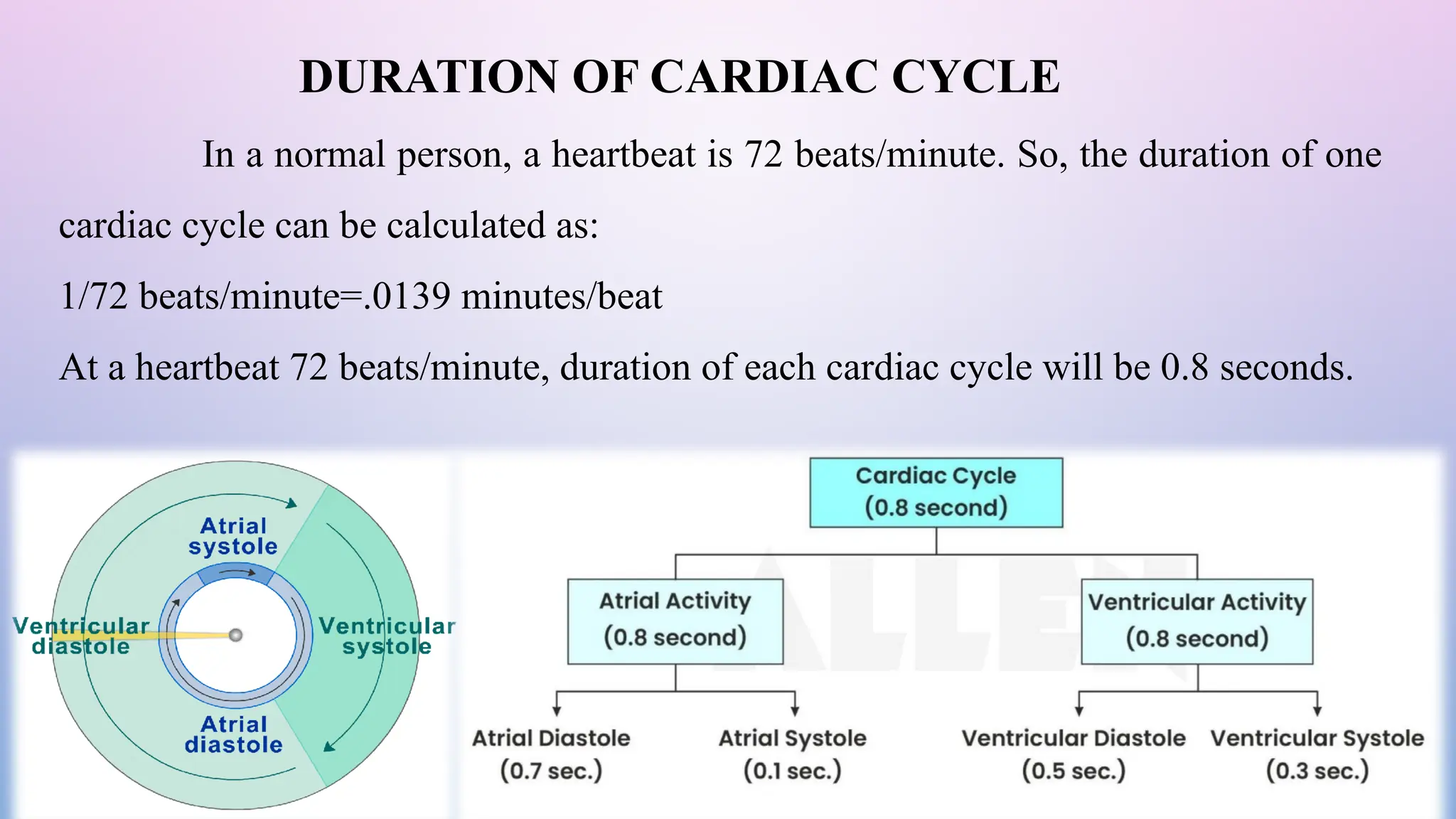 Cardiac Cycle: Steps & Duration ppt.pptx