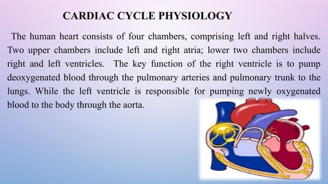 Cardiac Cycle: Steps & Duration ppt.pptx
