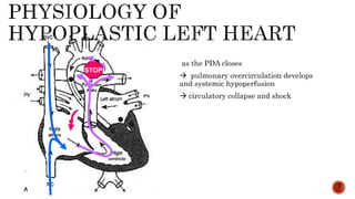 cardiac emergencice im pediatrics | PPTX | Heart and Cardiovascular ...
