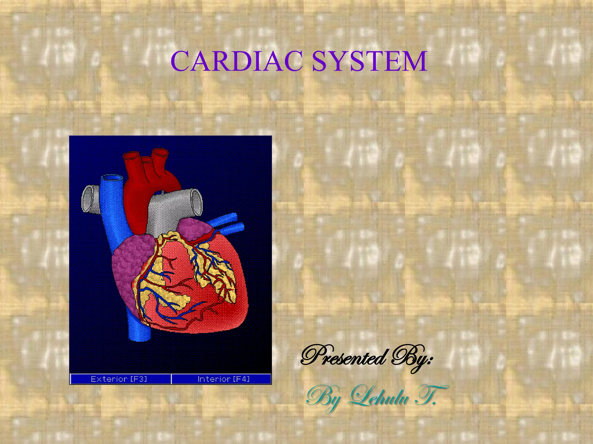Cardic system introduction | PPT