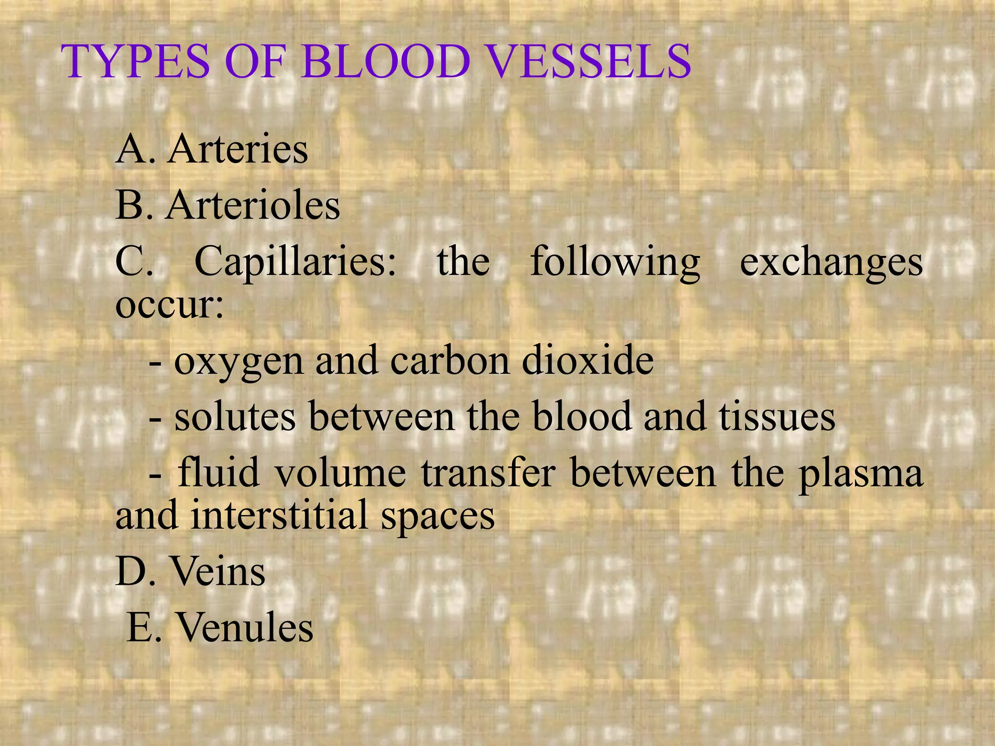 Cardic system introduction | PPT