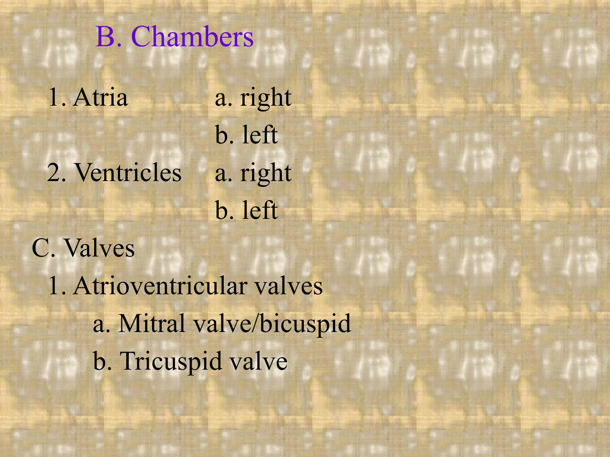 Cardic system introduction | PPT