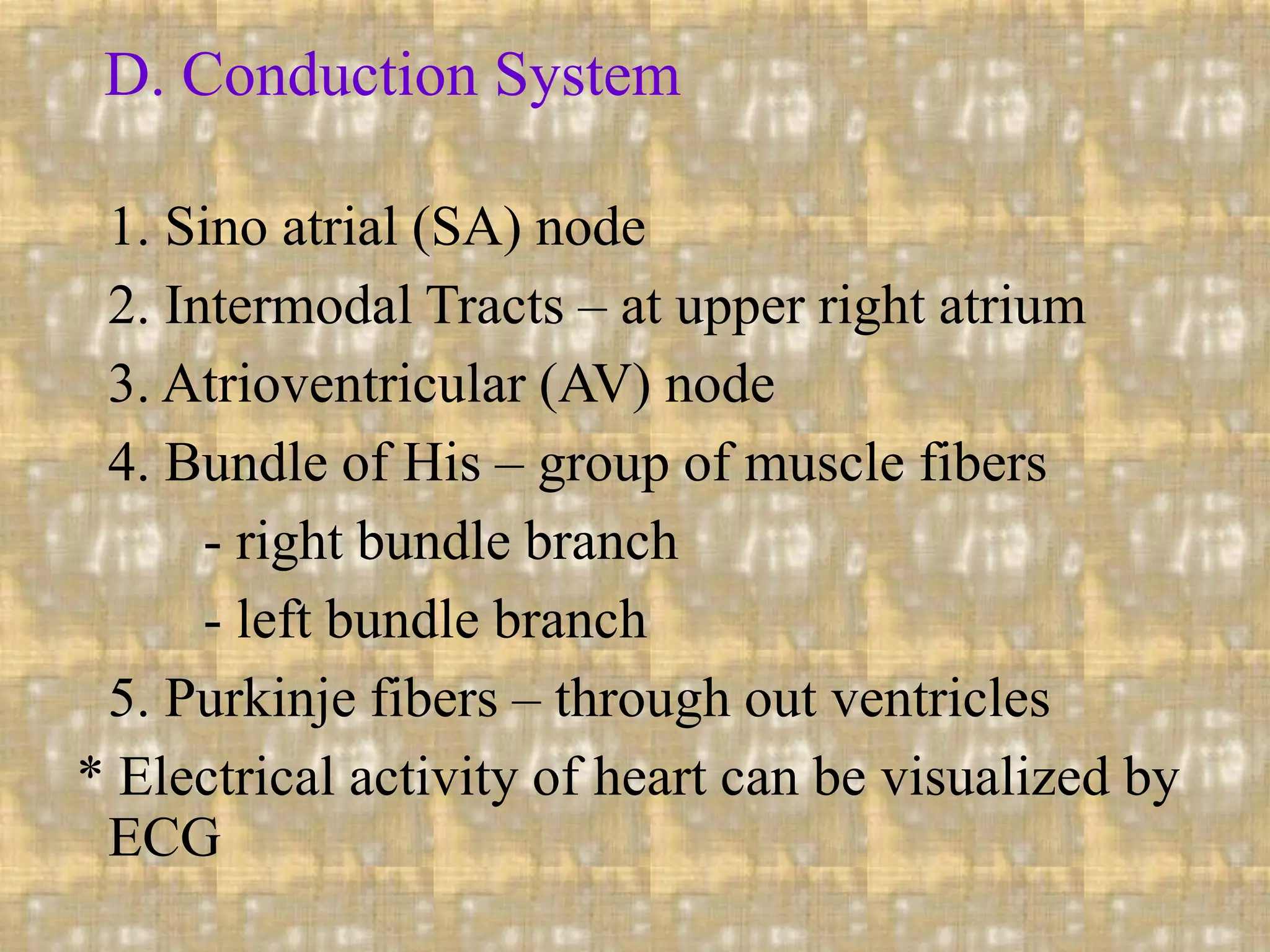 Cardic system introduction | PPT
