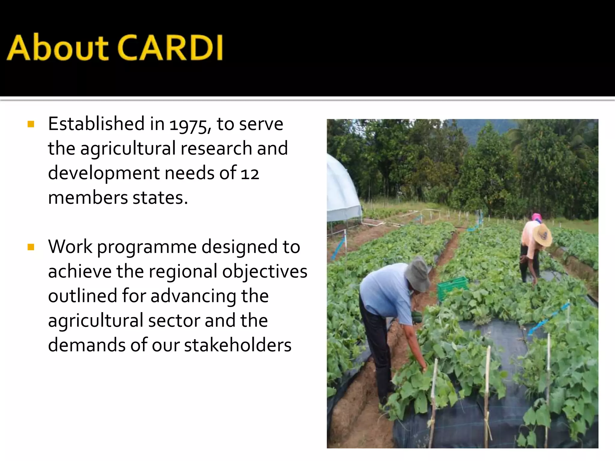 CARDI Presentation | PPT