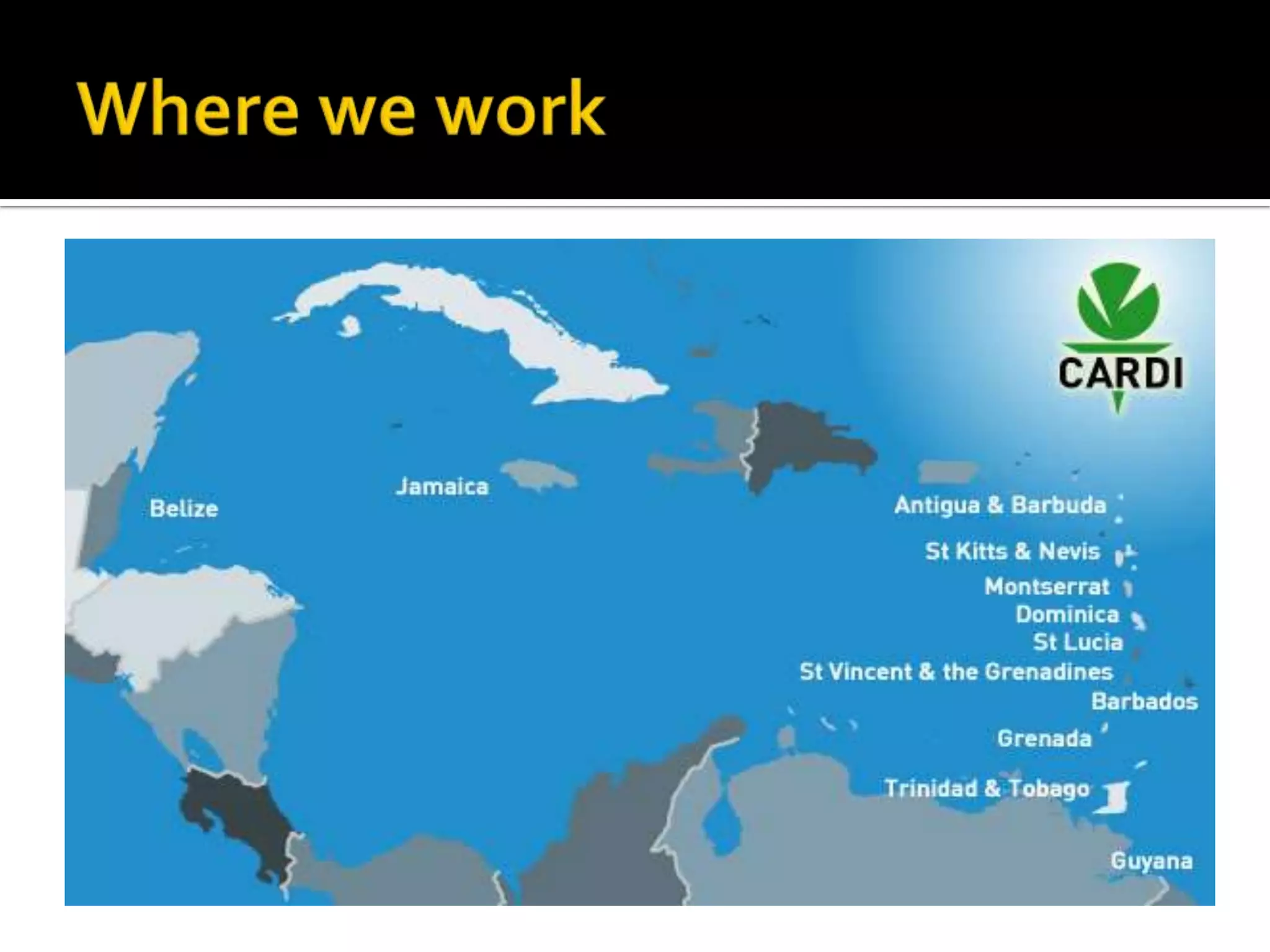 CARDI Presentation | PPT