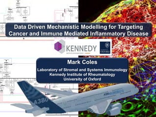Prof. Mark Coles (Oxford University) - Data-driven systems medicine | PPT