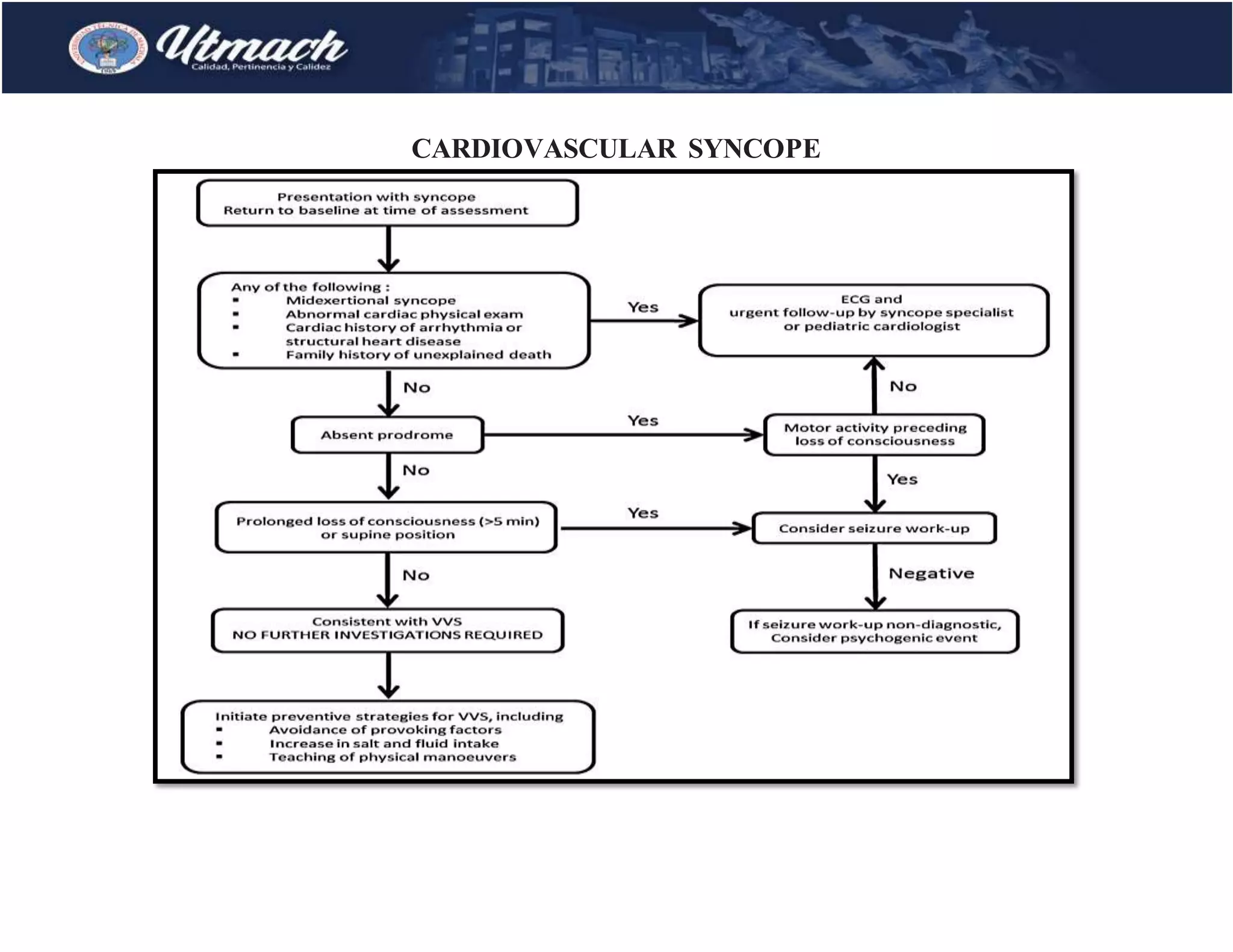 Cardiiovascular syncope algorithm | DOCX