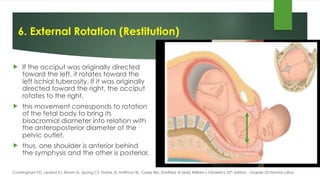 cardinal-movements-of-labor-video-guide-2.pdf