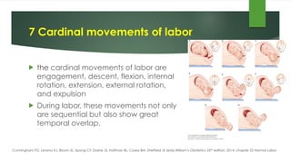 cardinal-movements-of-labor-video-guide-2.pdf