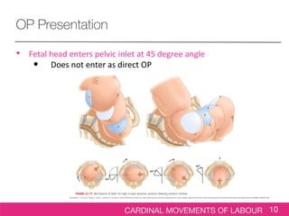 Cardinal movements-of-labour-1 | PDF