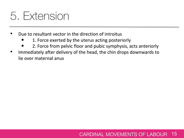Cardinal movements-of-labour-1 | PDF | Pregnancy | Reproductive Health
