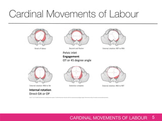 Cardinal movements-of-labour-1 | PDF