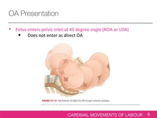 Cardinal movements-of-labour-1 | PDF