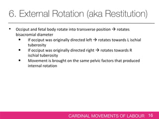 Cardinal movements of labor flexion - horizonrolf
