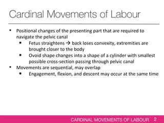 Cardinal movements of labor acog - libraryfess