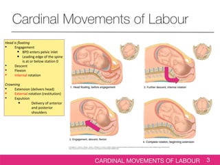 Cardinal movements song mnemonic labor - questcold