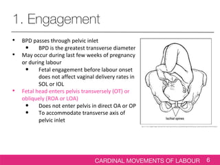 Cardinal movements-of-labour-1 | PPT