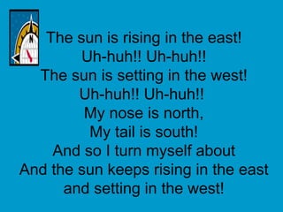Cardinal directions song | PPT