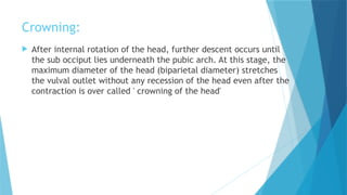 Cardinal movements of labor presentation | PPT