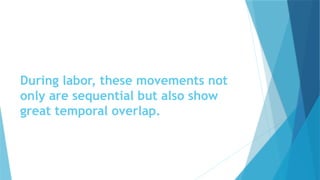 Cardinal movements of labor presentation | PPT